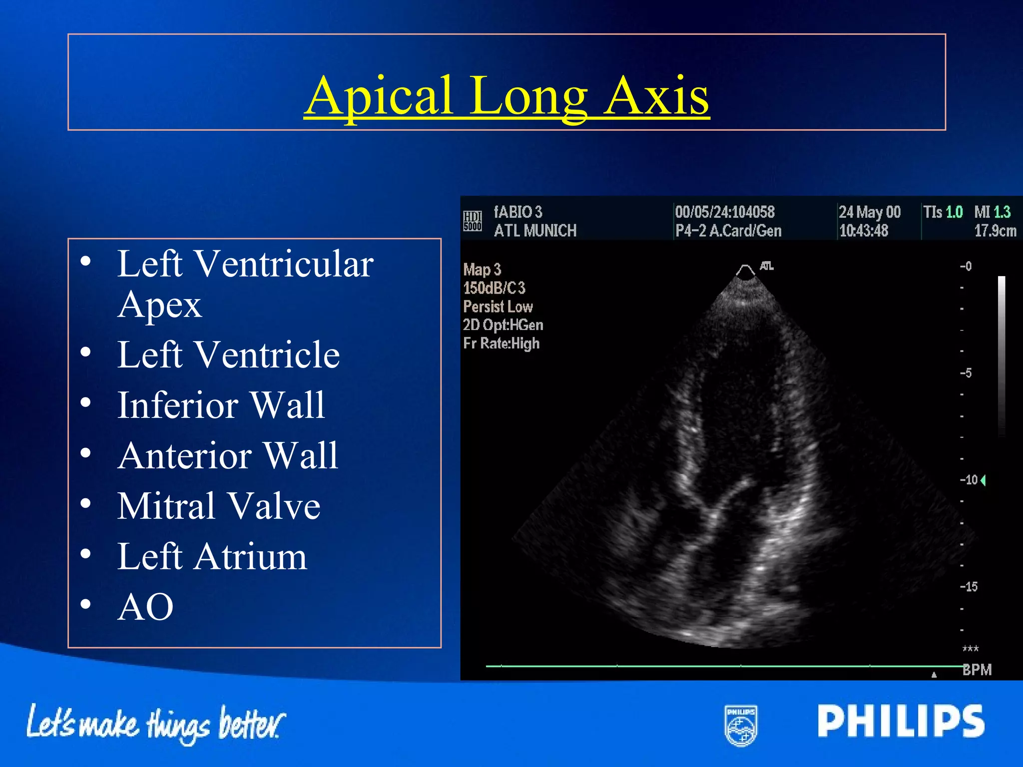 Cardiac anatomy | PPT