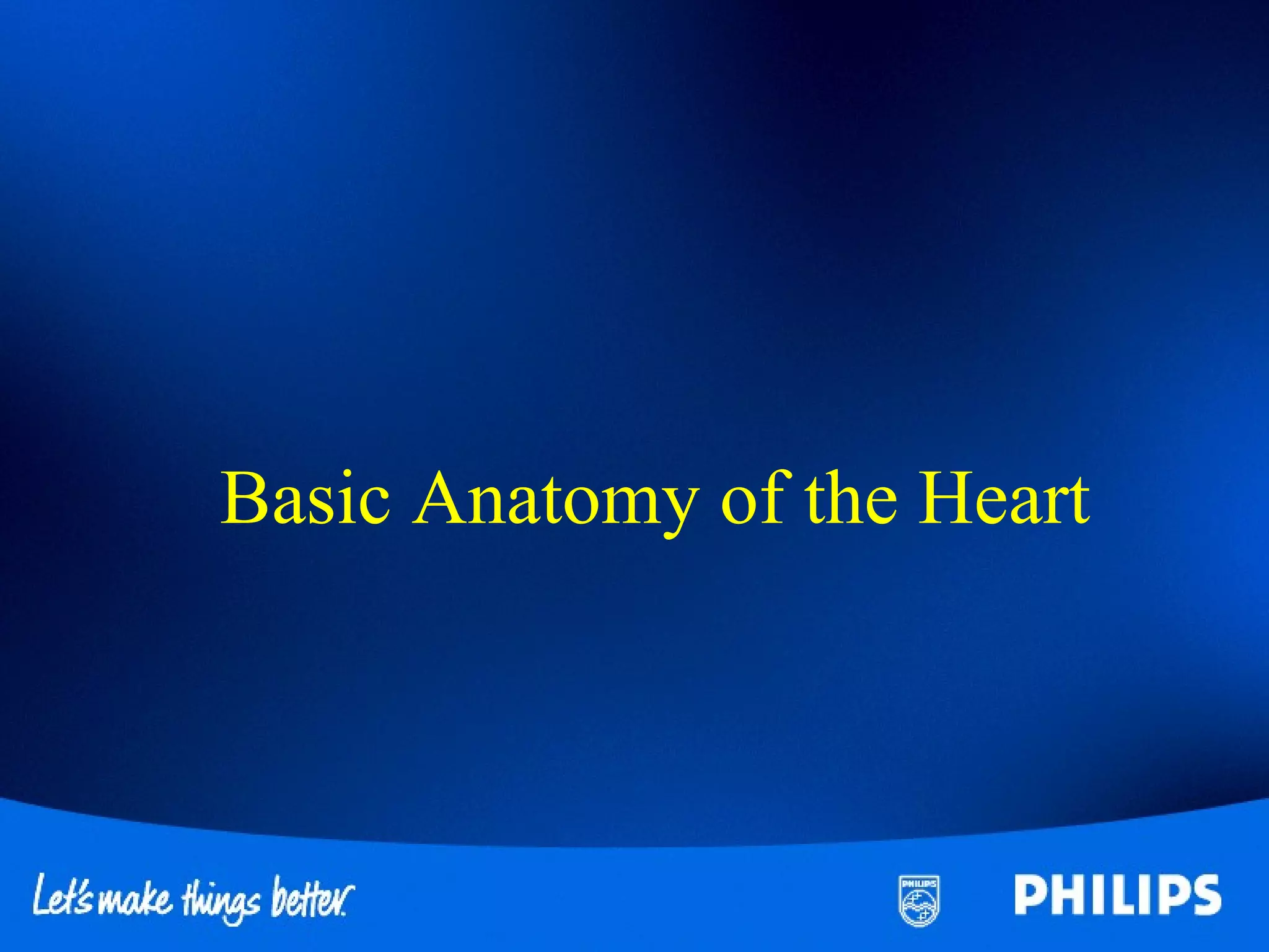 Cardiac anatomy | PPT