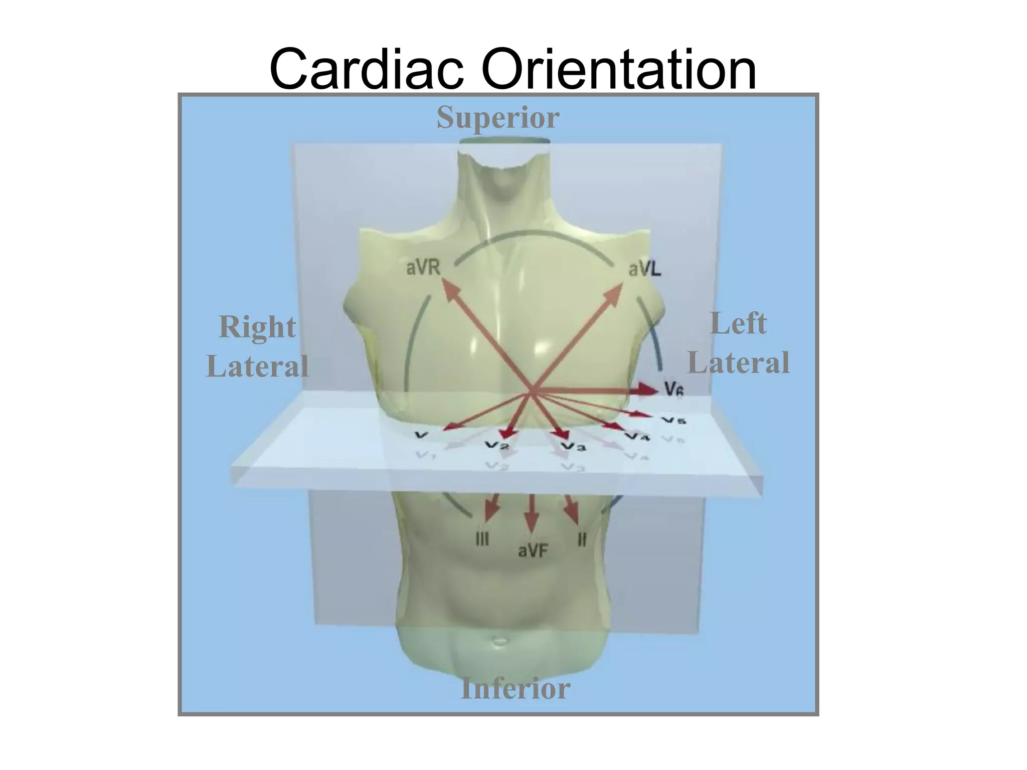 Cardiac Anatomy_20120916_南區 | PPT
