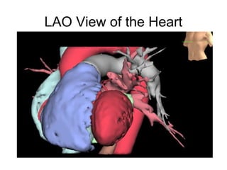 Cardiac Anatomy_20120916_南區 | PPT