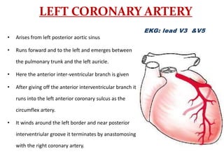 Cardiac anatomy and physiology | PPTX