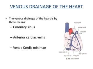 Cardiac anatomy and physiology | PPTX