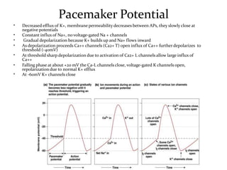 Cardiac anatomy and physiology | PPTX