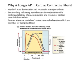 Cardiac anatomy and physiology | PPTX
