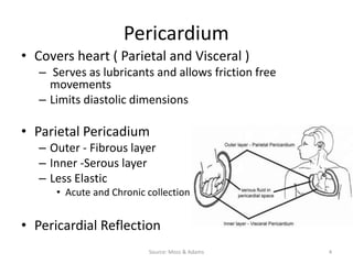 Cardiac anatomy | PPT