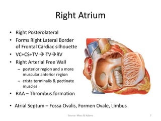 Cardiac anatomy | PPT