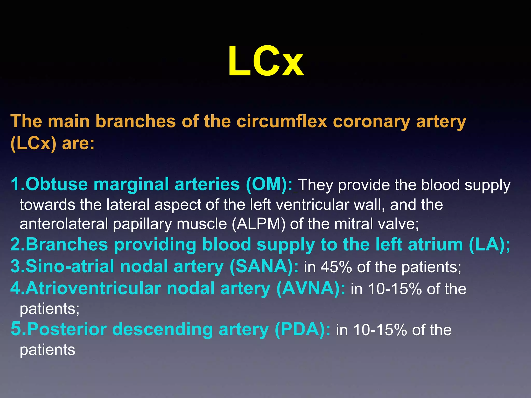 Cardiac anatomy | PPTX