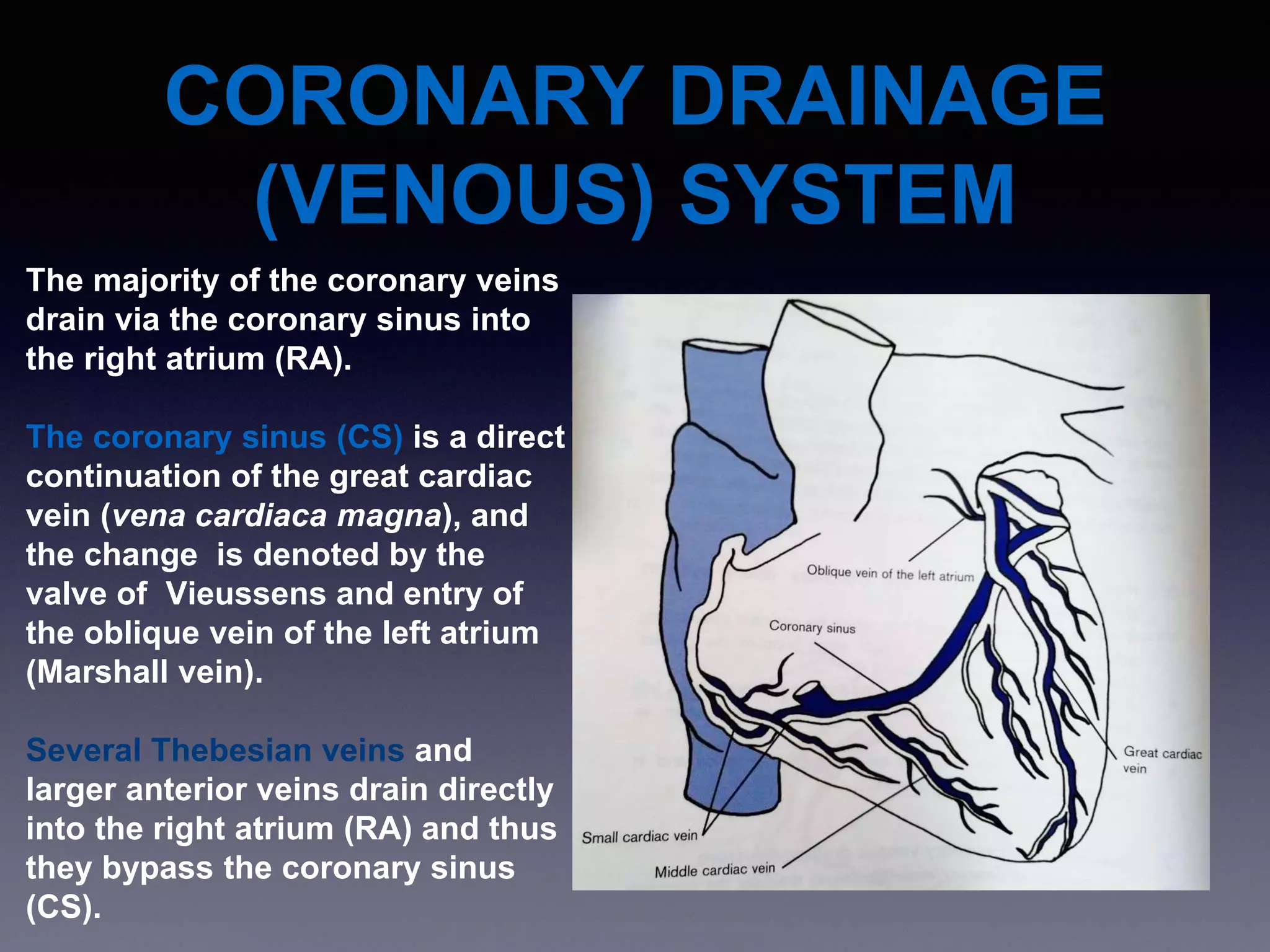 Cardiac anatomy | PPTX