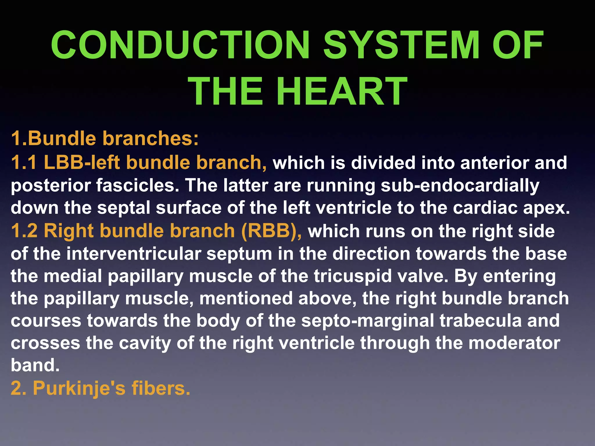 Cardiac anatomy | PPTX