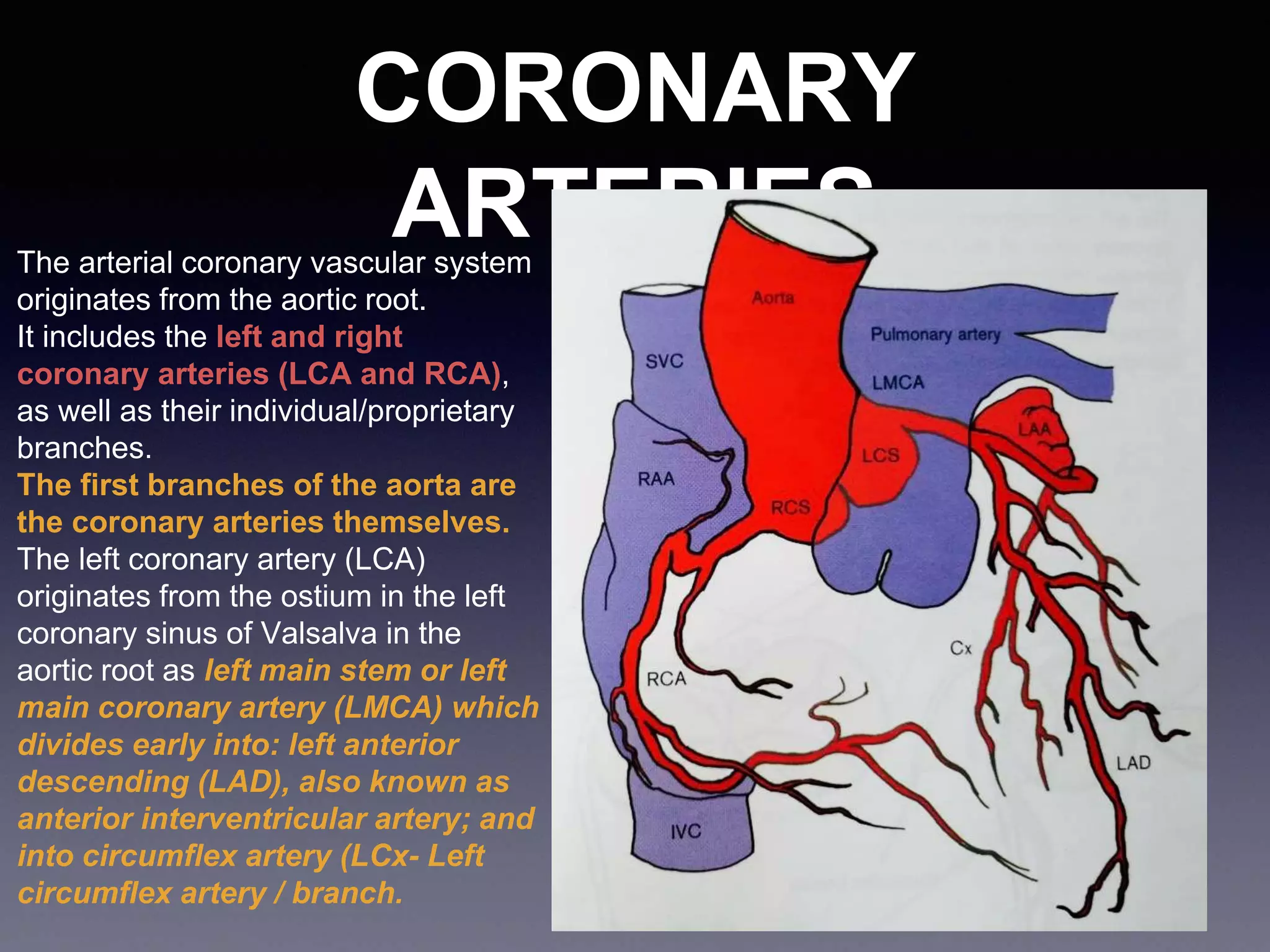 Cardiac anatomy | PPTX