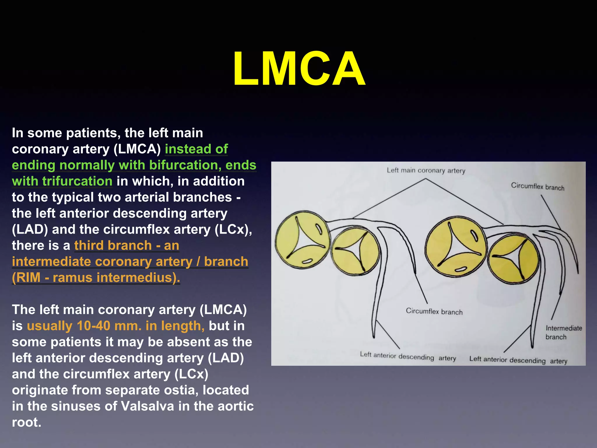 Cardiac anatomy | PPTX