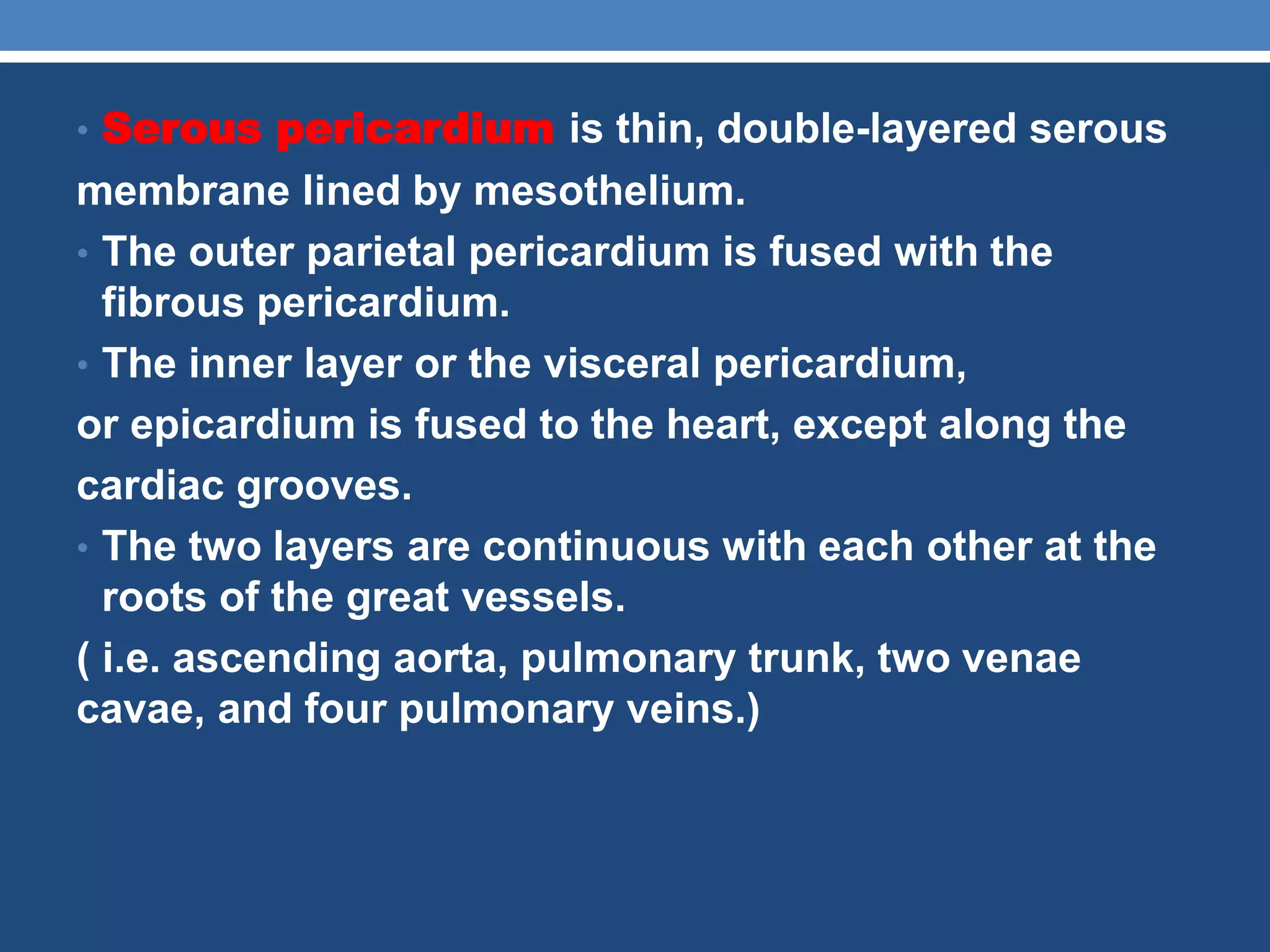cardiac anatomy for students | PPTX