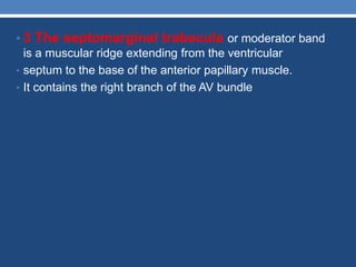 cardiac anatomy for students | PPTX