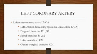 CARDIAC ANATOMY for Medical students and beginners | PPTX