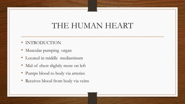 CARDIAC ANATOMY for Medical students and beginners | PPT