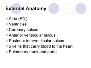 Cardiac anatomy and physiology | PPT