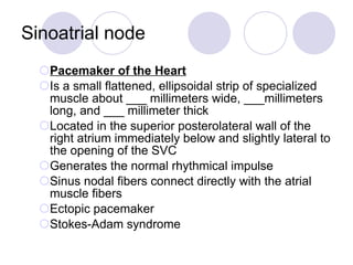 Cardiac anatomy and physiology | PPT