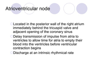 Cardiac anatomy and physiology | PPT