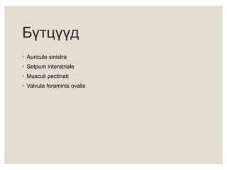 Зүрхний анатоми ба физиологи | PPTX