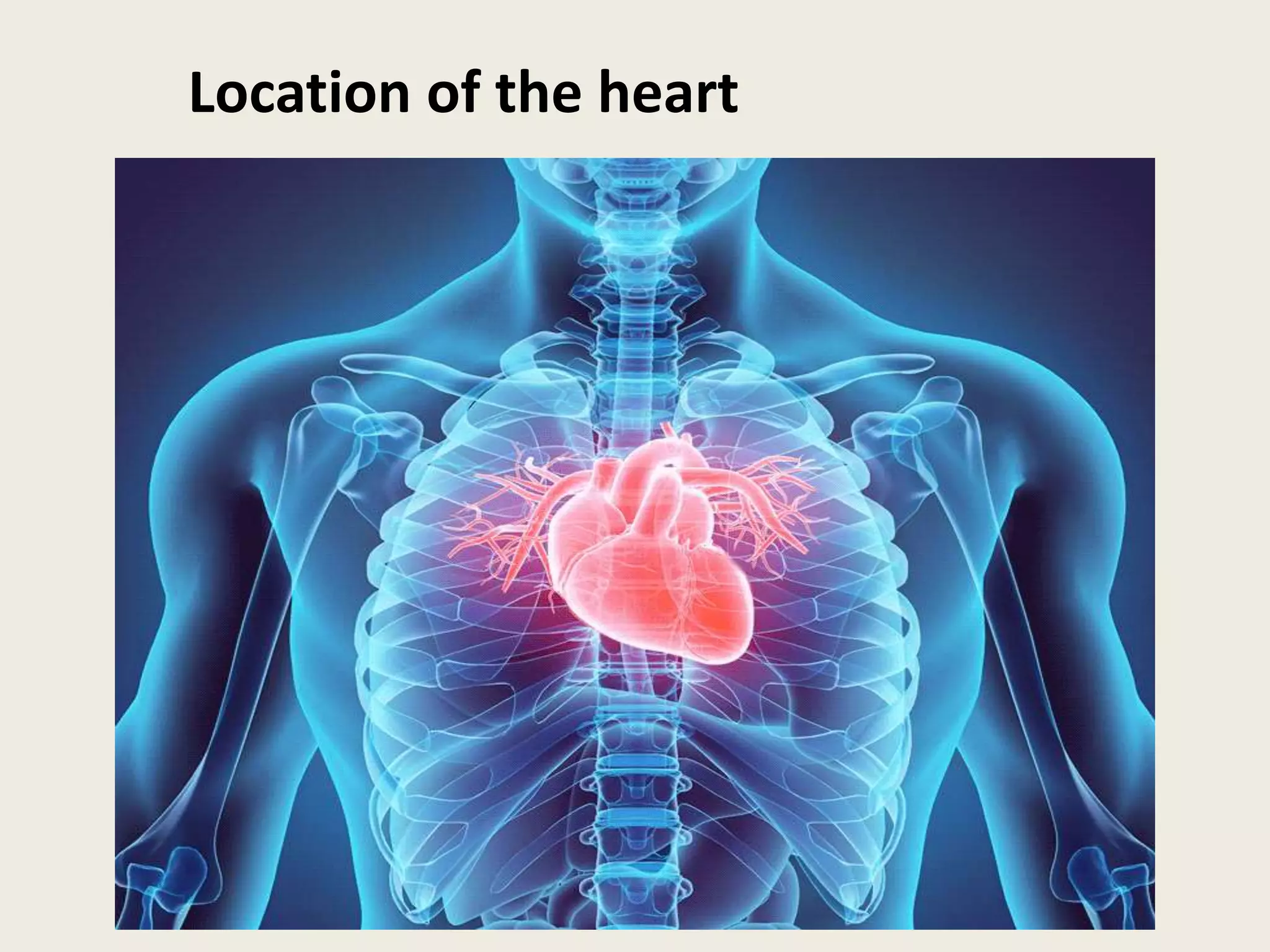 Cardiac anatomy and physiology | PPTX