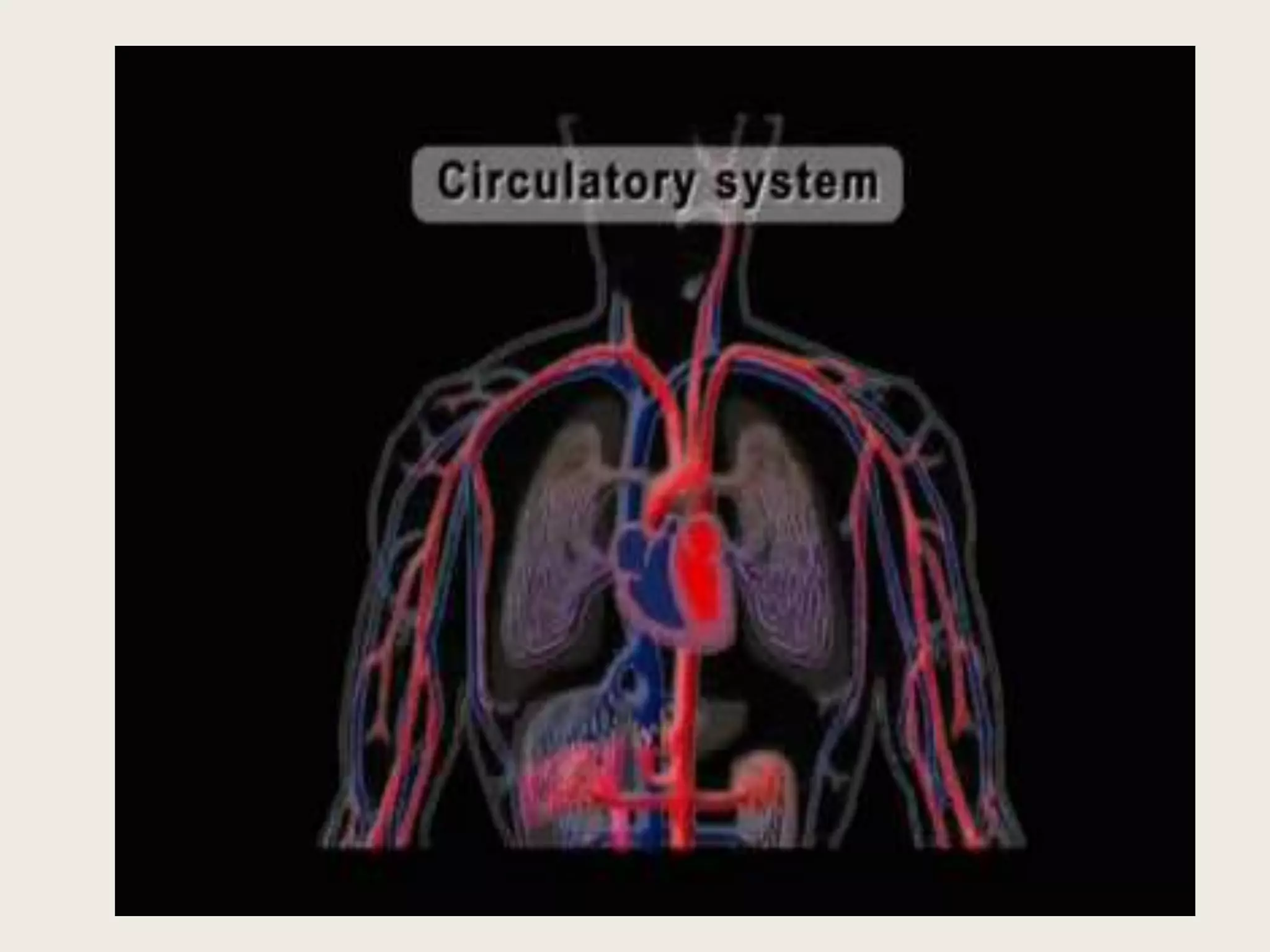 Cardiac anatomy and physiology | PPTX