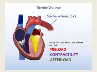 Cardiac anatomy and physiology | PPT
