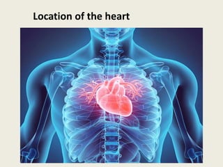 Cardiac anatomy and physiology | PPT