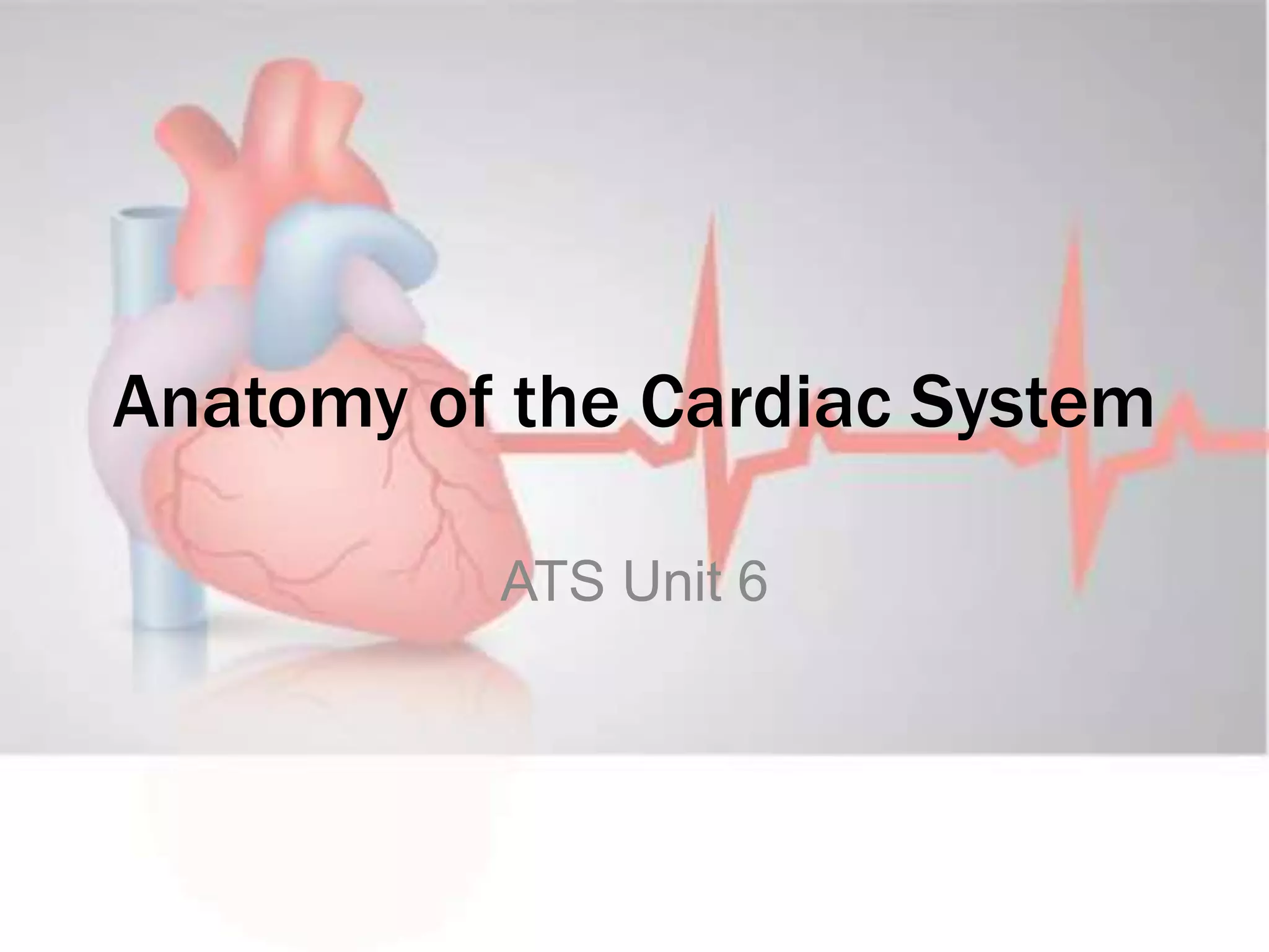 Cardiac System | PPTX