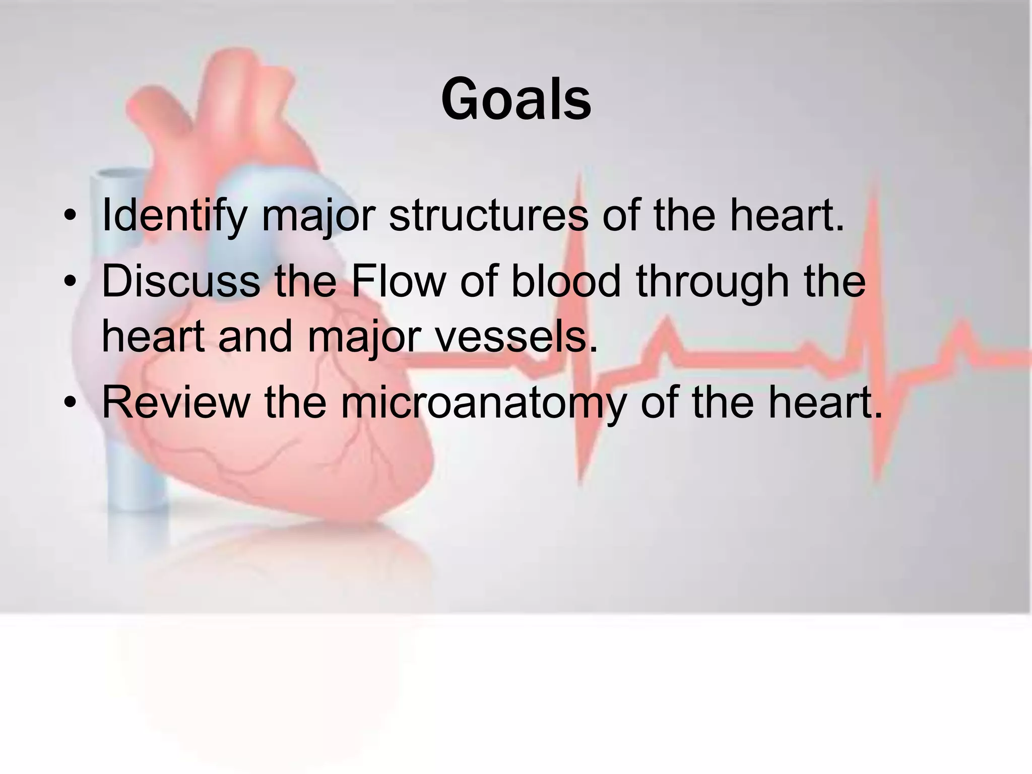 Cardiac System | PPTX