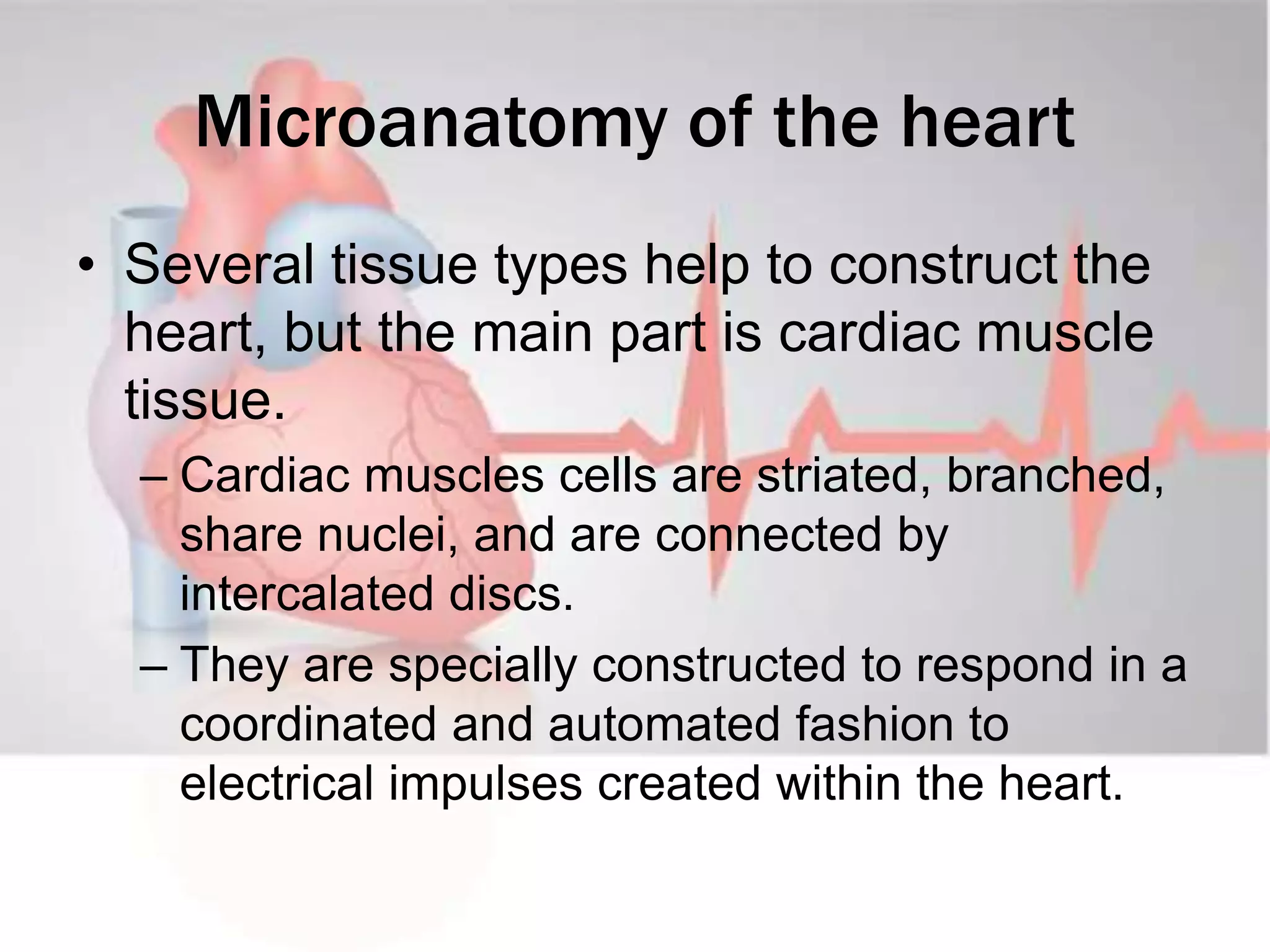 Cardiac System | PPTX