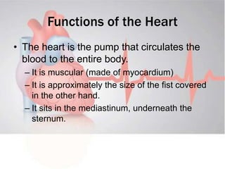 Cardiac System | PPTX