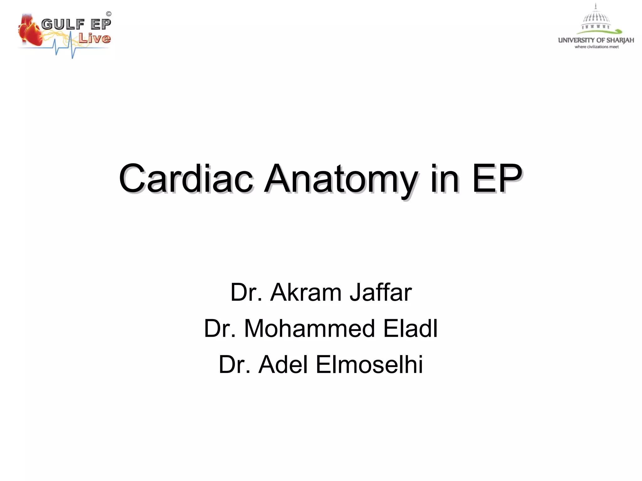 Cardiac anatomy in ep akram - eladl - adel | PPT