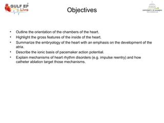 Cardiac anatomy in ep akram - eladl - adel | PPT