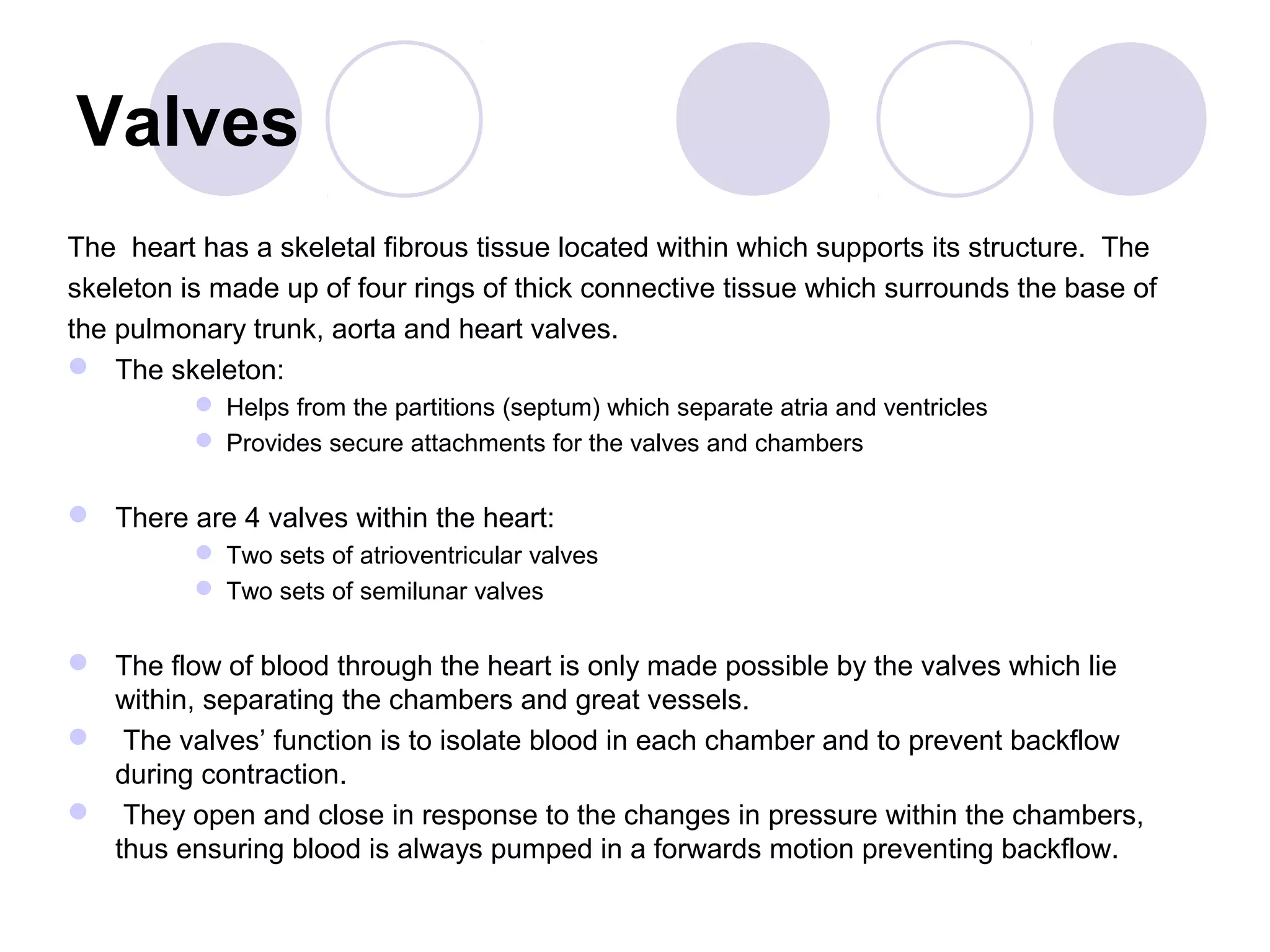 Cardiac anatomy powerpoint modified | PPT
