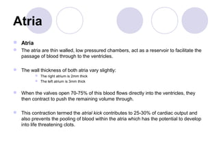 Cardiac anatomy powerpoint modified | PPT