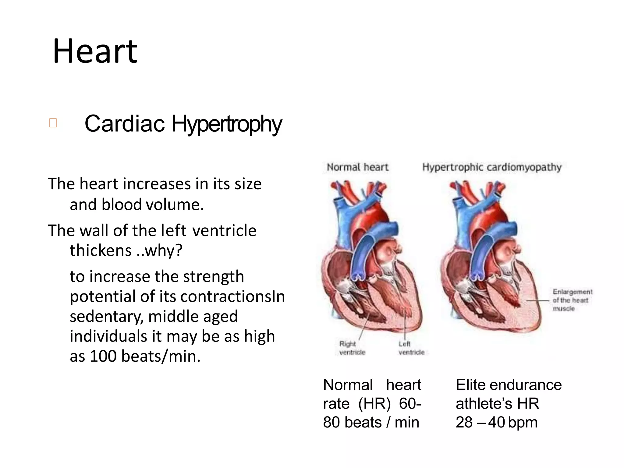 Cardiac and circulatory adaptation to exercise.pptx