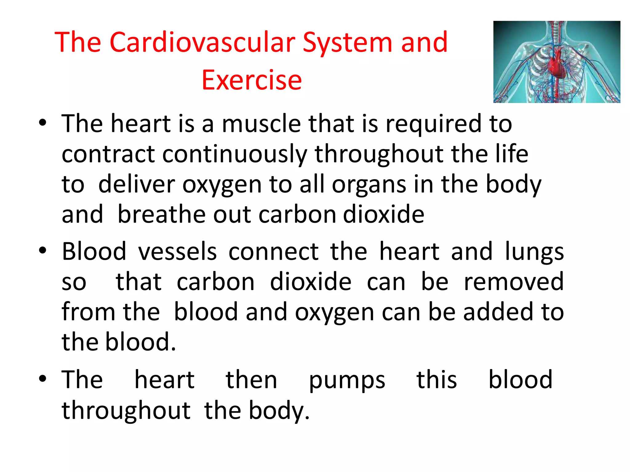 Cardiac and circulatory adaptation to exercise.pptx