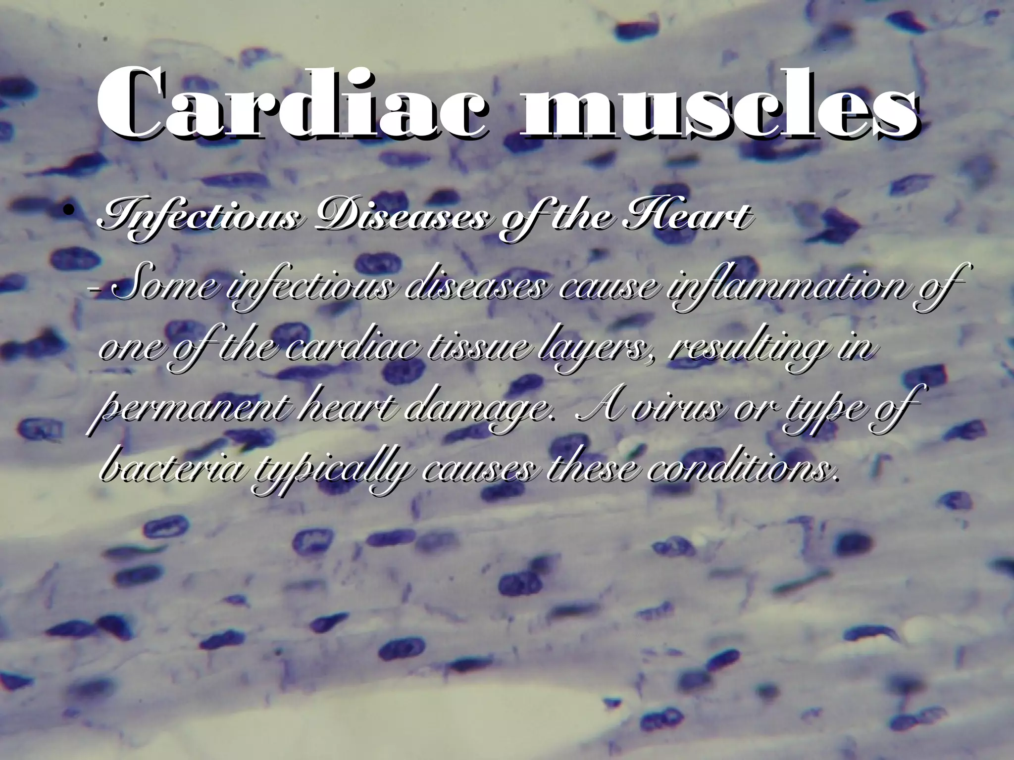 Cardiac and skeletal muscles1 | PPT