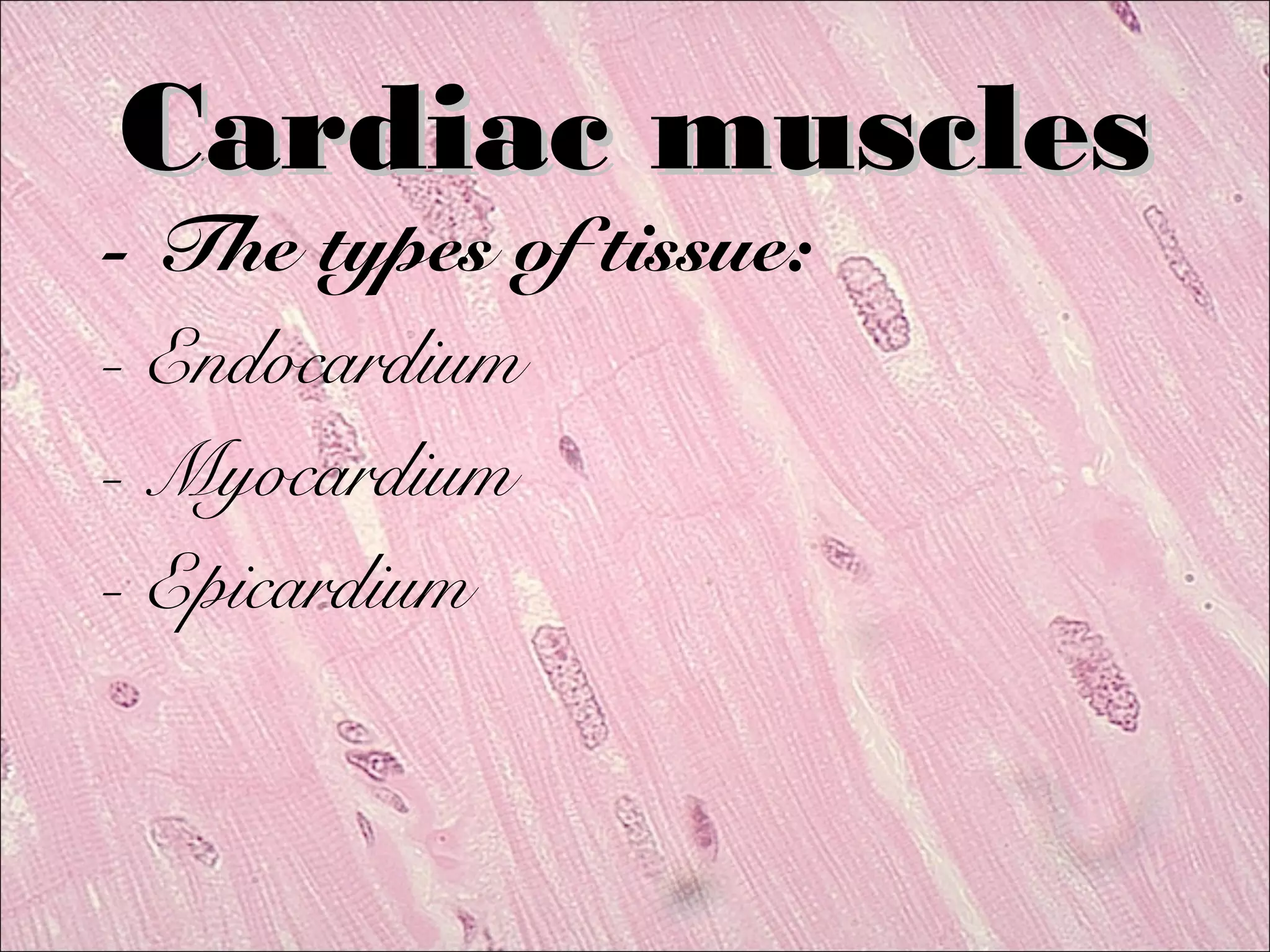 Cardiac and skeletal muscles1 | PPT
