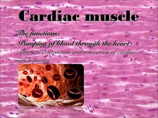 Cardiac and skeletal muscles1 | PPT