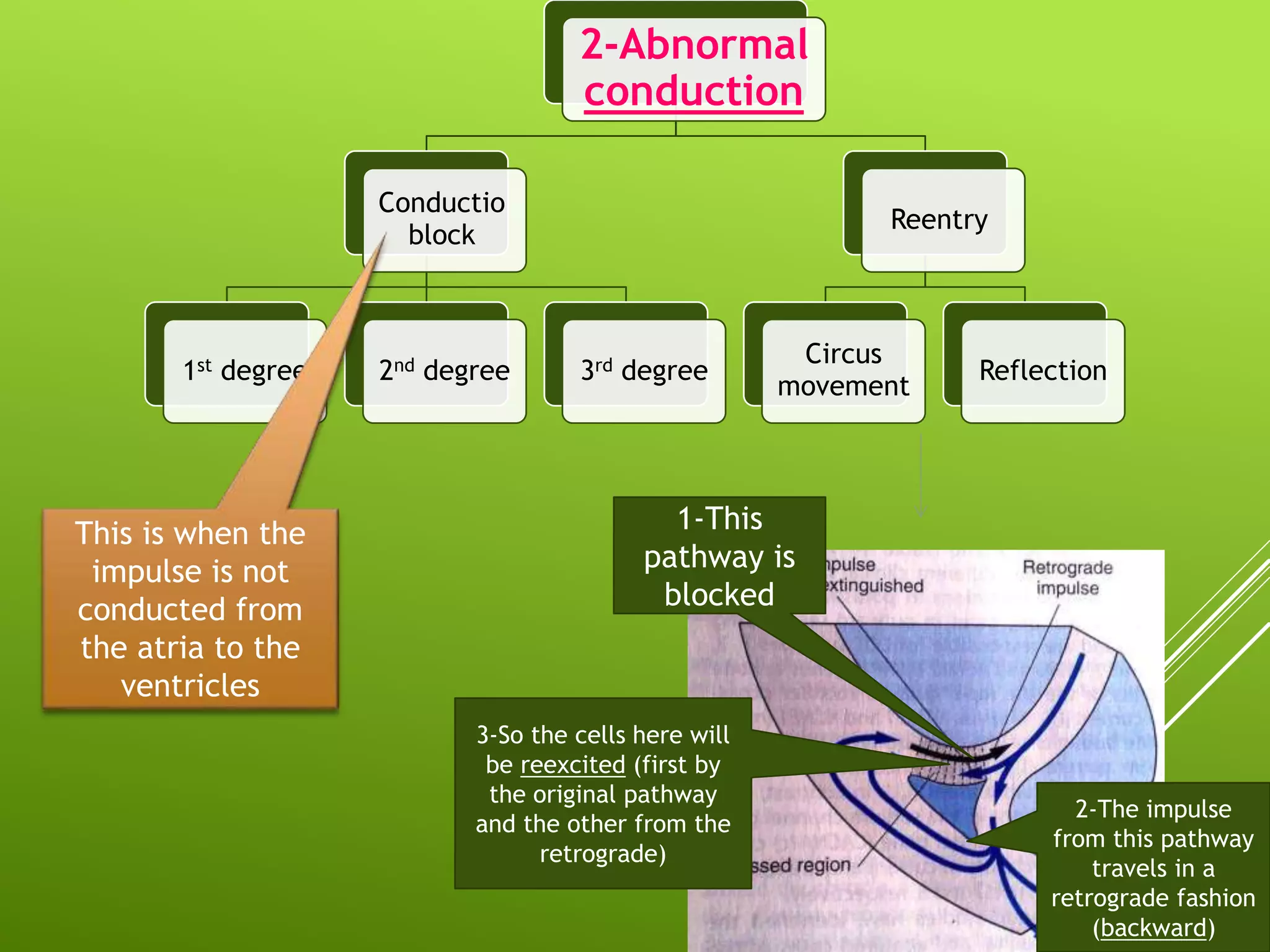 Cardiac antidysrhythmic drugs | PPTX