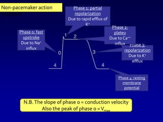Cardiac antidysrhythmic drugs | PPTX