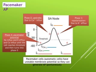 Cardiac antidysrhythmic drugs | PPT
