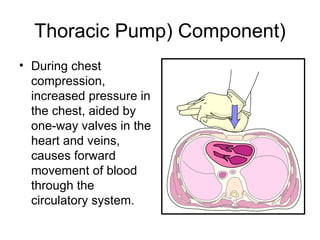 anasethesia.Cardiac arrest.(dr.amer) | PPT