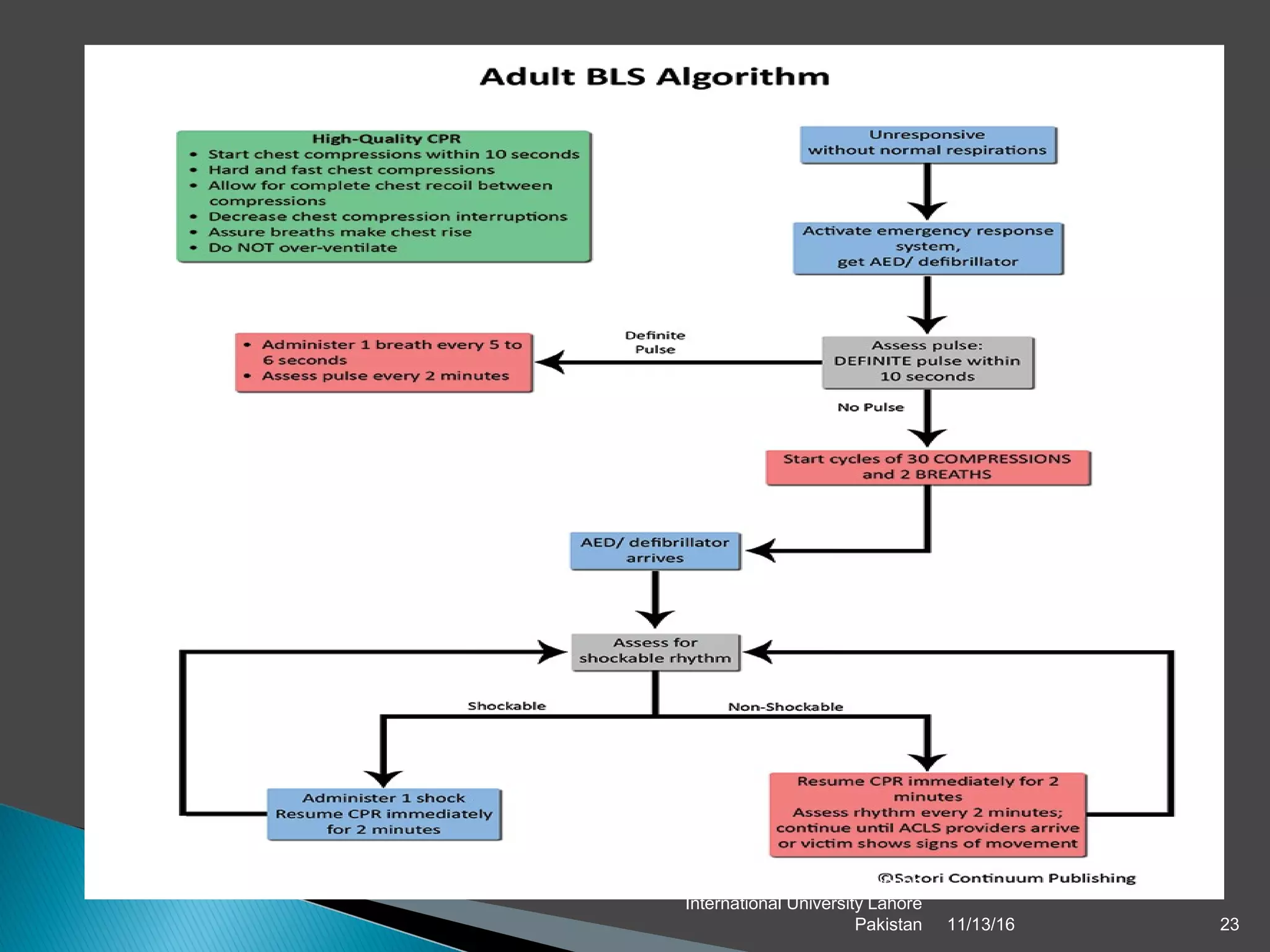 Cardiac arrest and BLS | PPT
