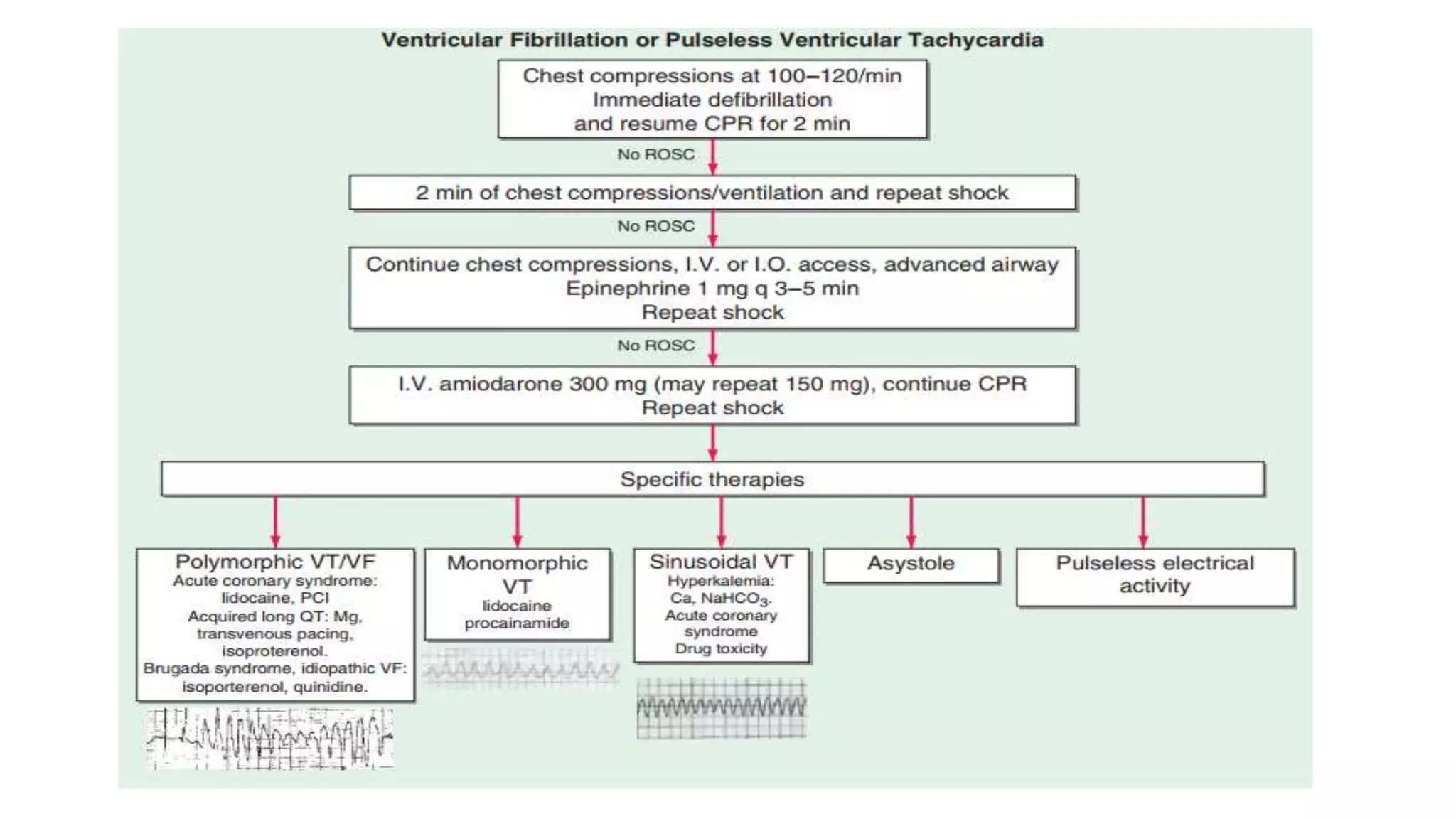 Cardiac arrest cpr shock | PPTX | First Aid | Injuries