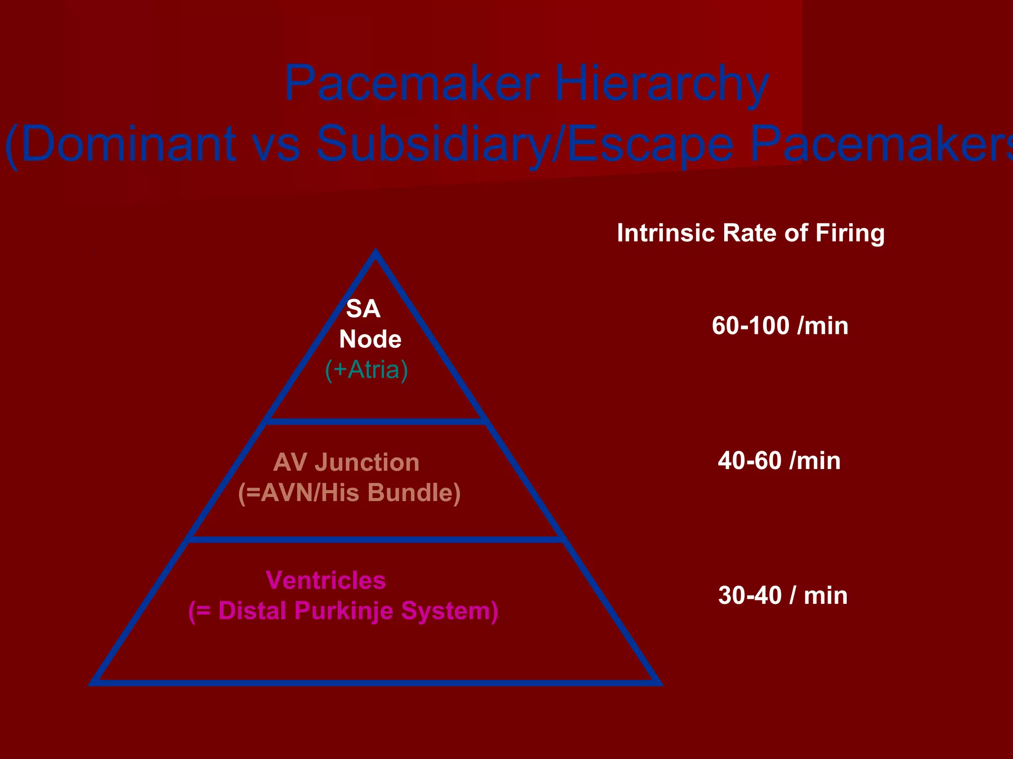 Arrhythmia broad overview | PPT