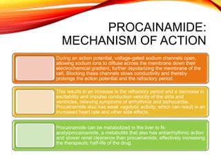 Procainamide Action