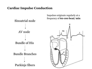 Cardiac arrhythmias | PPT