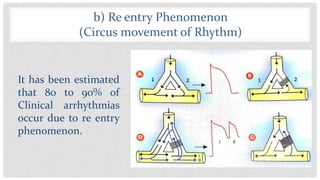 Cardiac arrhythmias pathophysiology | PDF